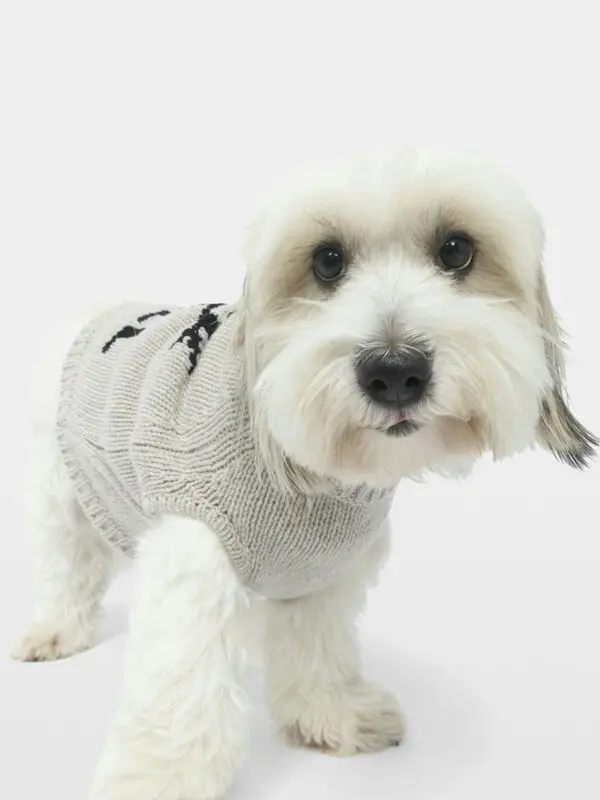 Zadig&Voltaire Zadog Wool Sweater