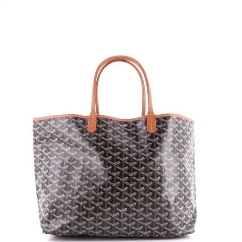 Goyard Saint Louis Pm Tote Coated Canvas