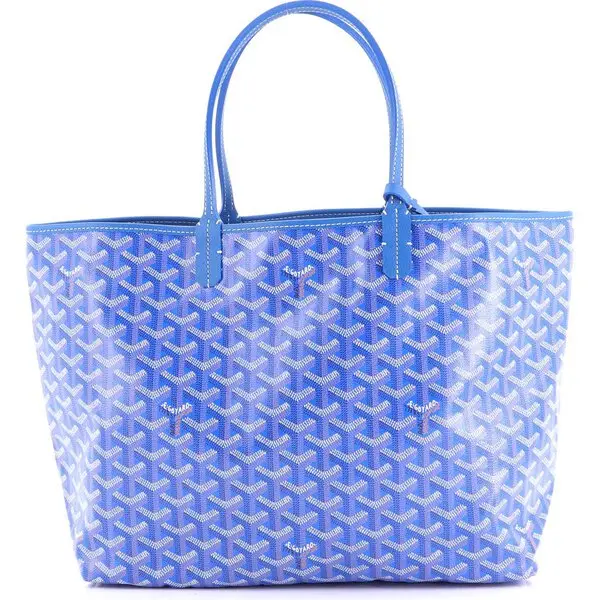 Goyard Saint Louis Pm Tote Coated Canvas
