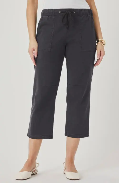 Splendid Regina Crop Pants - Lead Grey