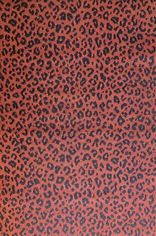 MAD MATS Leopard Rug - Brown - 5'x8'