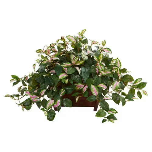 NEARLY NATURAL Hoya Artificial Plant In Decorative Planter - Green
