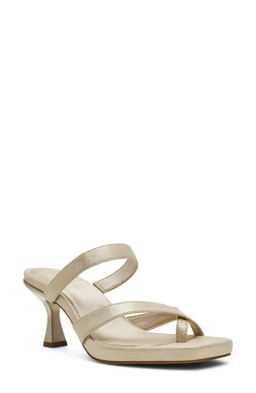 Anne Klein Jevelli Toe Loop Sandal - Gold