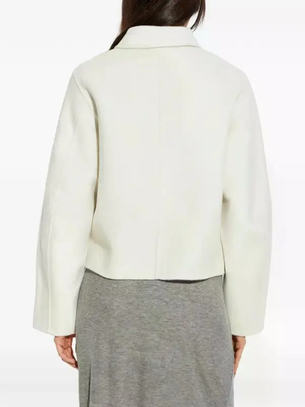 SAMSOE SAMSOE Saholly Collared Jacket