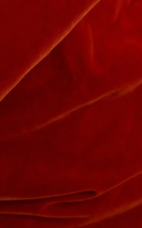 COLLEEN ALLEN Draped Cotton Velvet Shawl Top