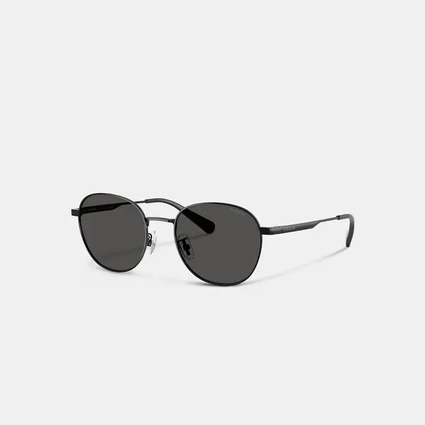 COACH Metal Hangtag Round Sunglasses - Black