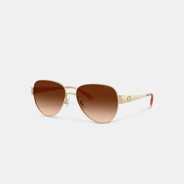 COACH C Hardware Metal Pilot Sunglasses - Brown/gold