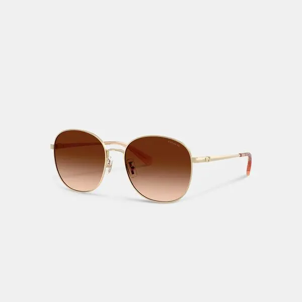 COACH C Hardware Metal Round Sunglasses - Brown/gold