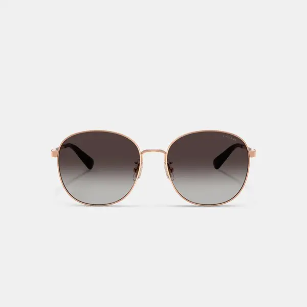 COACH C Hardware Metal Round Sunglasses - Purple Gradient