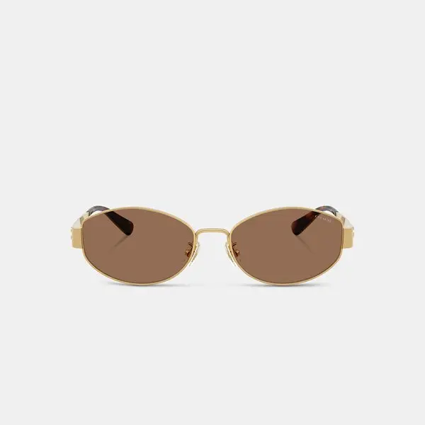 COACH C Hardware Metal Narrow Oval Sunglasses - Brass