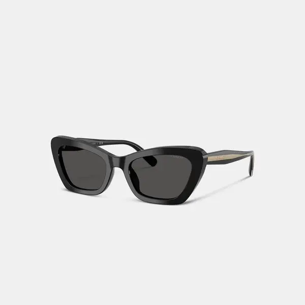 COACH Wire Cat Eye Sunglasses - Black