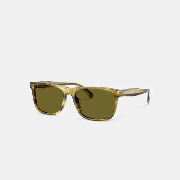 COACH Square Sunglasses - Olive Green