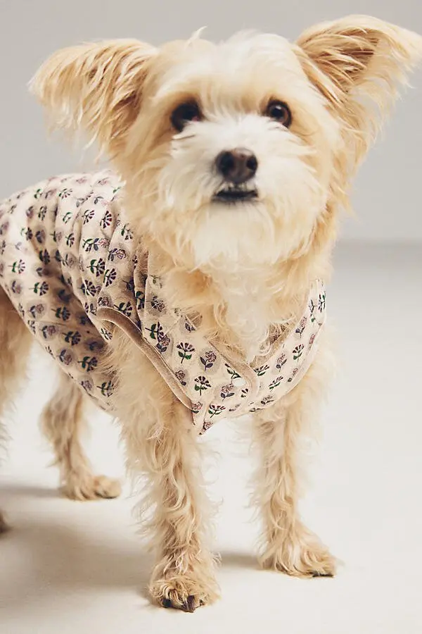 FURB Floral Quilted Pet Vest Jacket
