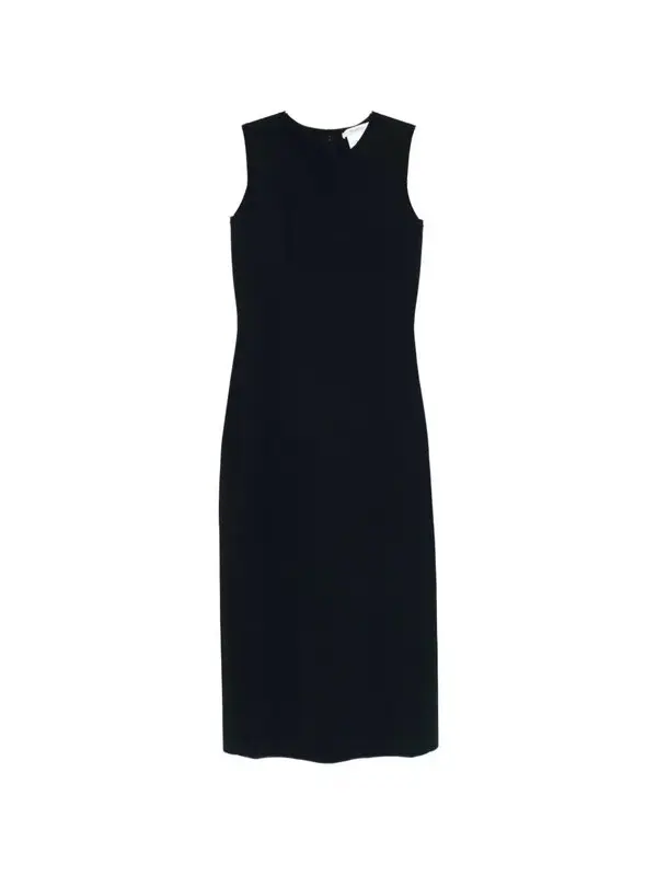 Max Mara Pangus Midi Dress