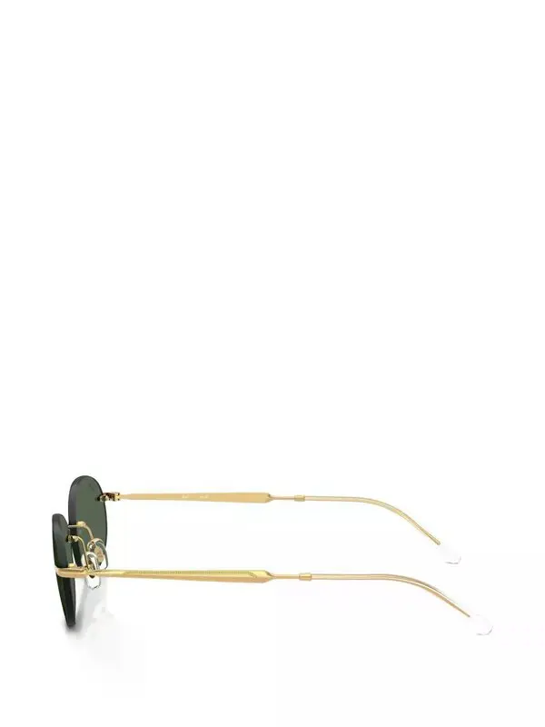Ray-ban Round-frame Sunglasses