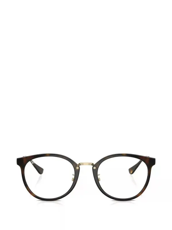 Ray-ban Round-frame Glasses