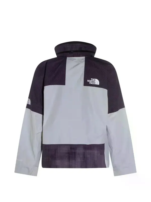 The North Face Devils Thumb Gtx Hooded Jacket