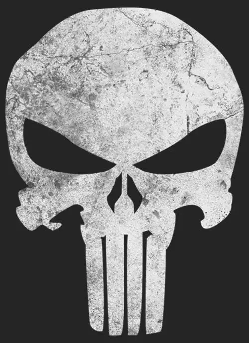 MARVEL Punisher Retro Skull Symbol Hoodie