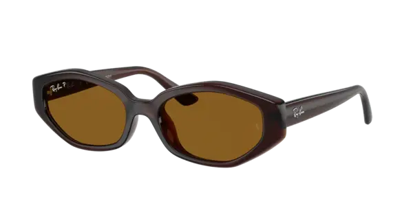 Ray-ban Sunglasses - Dark Brown Polar