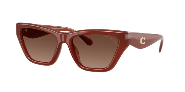 COACH Sunglasses - Brown Gradient Polarized