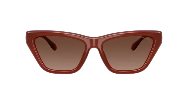 COACH Sunglasses - Brown Gradient Polarized