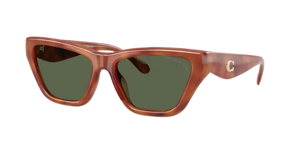 COACH Sunglasses - Green Solid