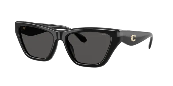 COACH Sunglasses - Grey Solid