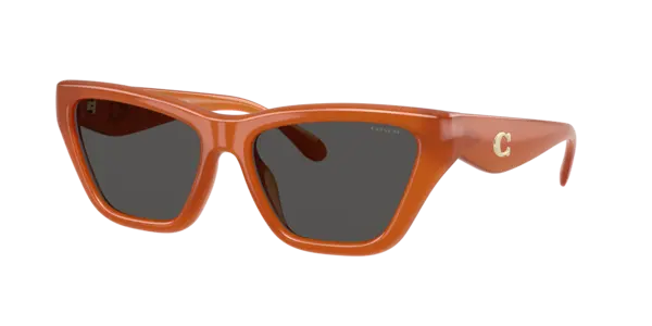 COACH Sunglasses - Wine Solid