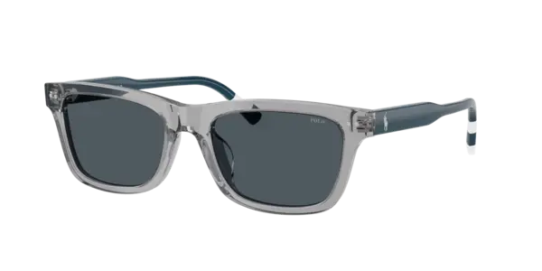 Polo Ralph Lauren Sunglasses - Dark Grey