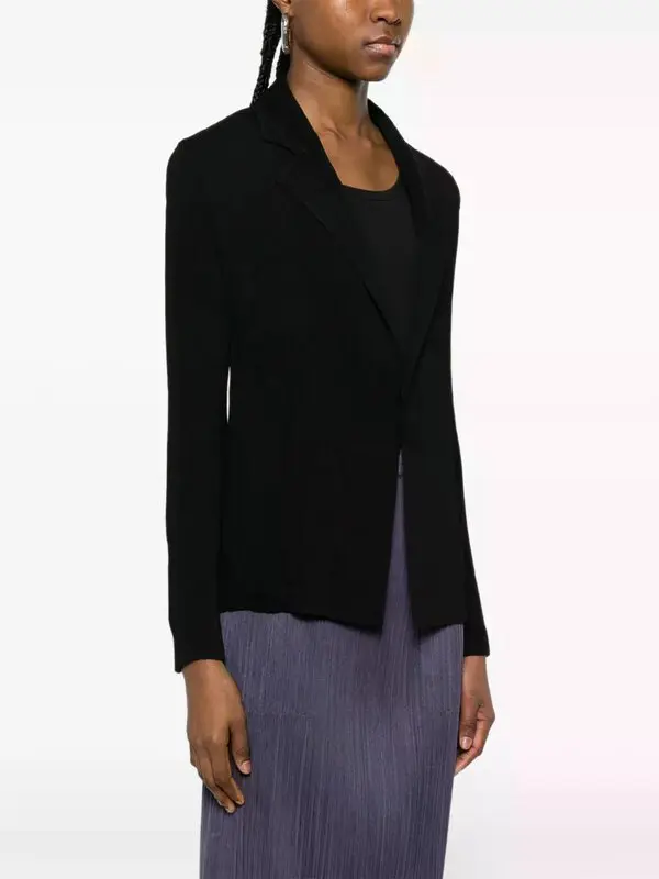 Issey Miyake Pleated Jacket