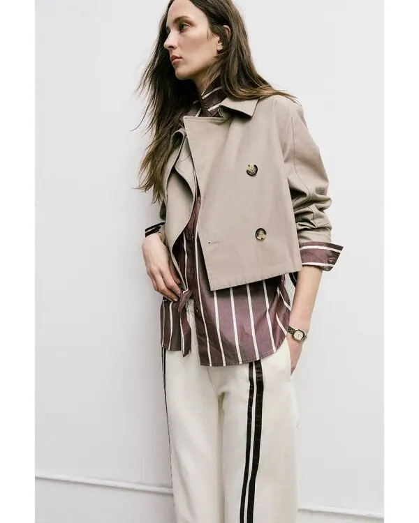 Rag & Bone Connie Stripe Shirt - Rust White Stripe