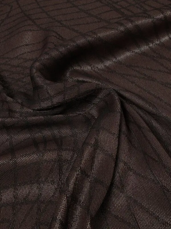 Elisabetta Franchi Scarf - Brown