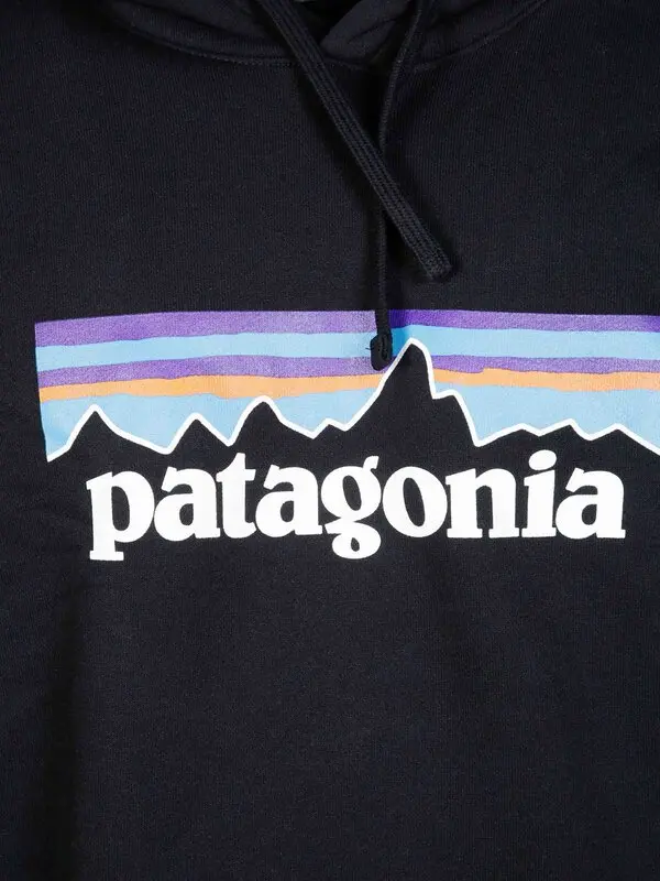 Patagonia Recycled Cotton Blend Hoodie