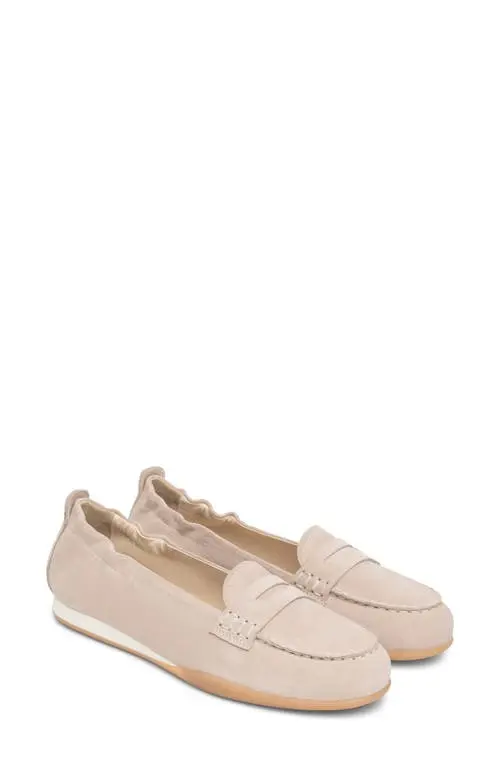 NEROGIARDINI Sport Penny Loafer - Blush