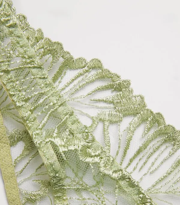 COCO DE MER Lace Laurel Brazilian Briefs
