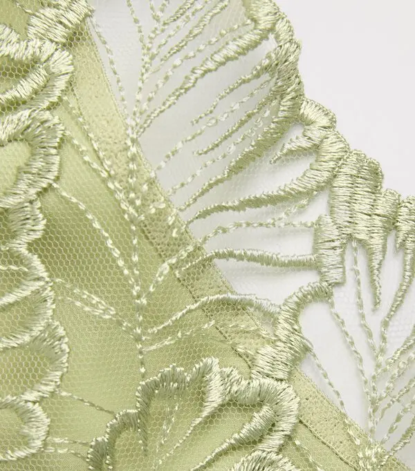 COCO DE MER Lace-trim Laurel Bodysuit