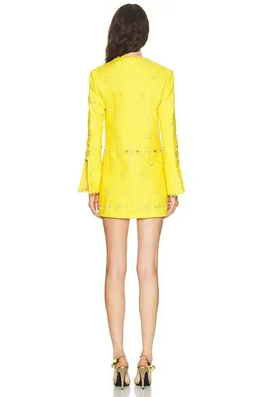 Alexis Eulia Geometric Cut-out Dress