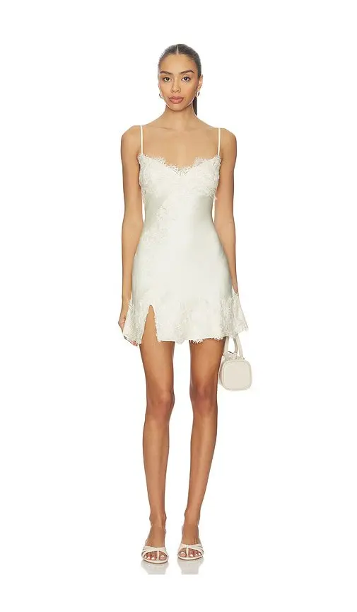 Bardot Alerie Lace Satin Mini Dress - Ivory