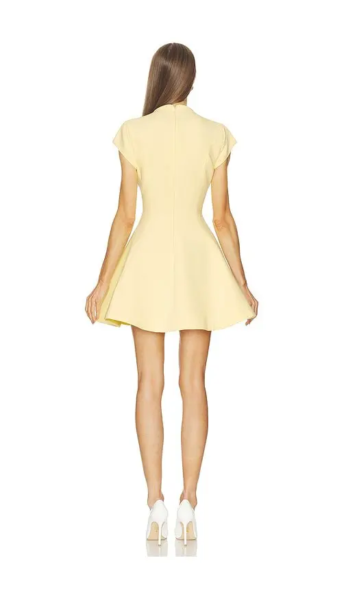 Bardot Beckett High Neck Mini Dress