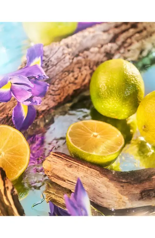 ROJA Oceania Parfum