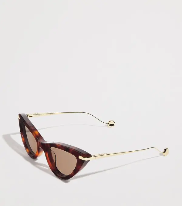JOSEPH Cat Eye Laarous Sunglasses