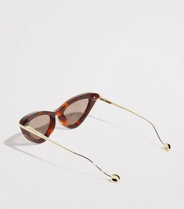 JOSEPH Cat Eye Laarous Sunglasses