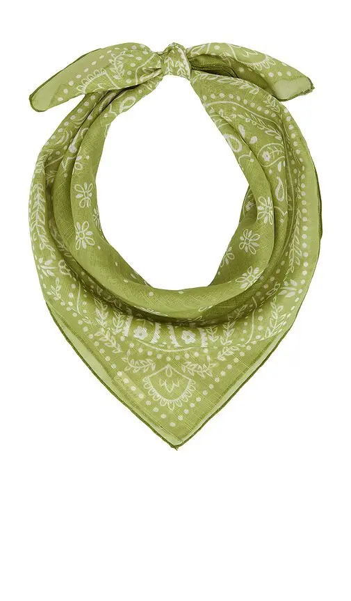 CASA CLARA Darcy Scarf In Green