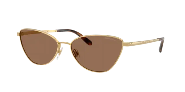 Ralph Lauren Sunglass Rl7093 - Brown