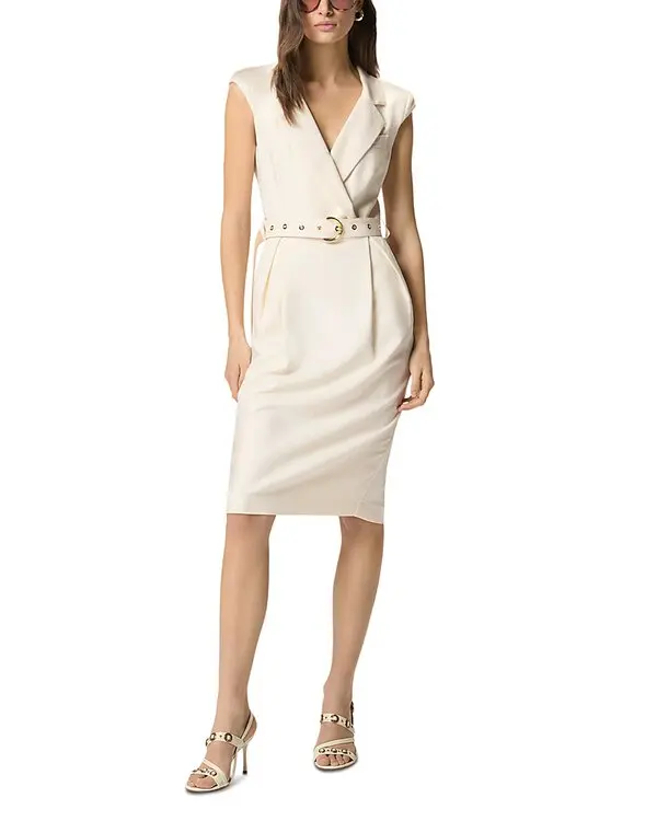 Pinko Amadine Dress - C