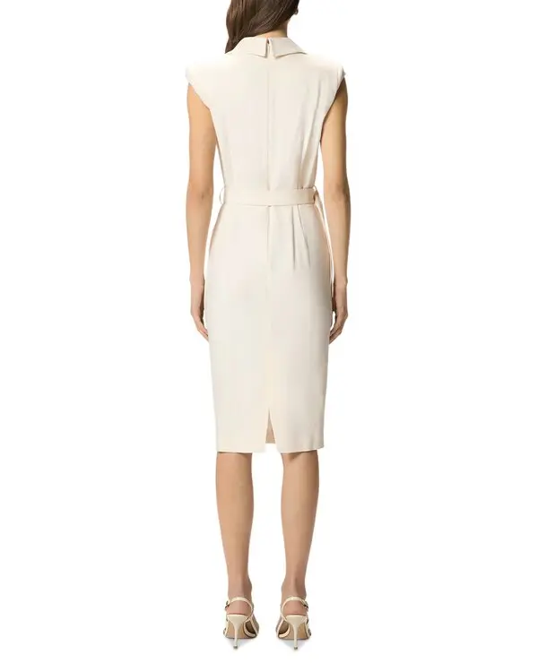 Pinko Amadine Dress - C