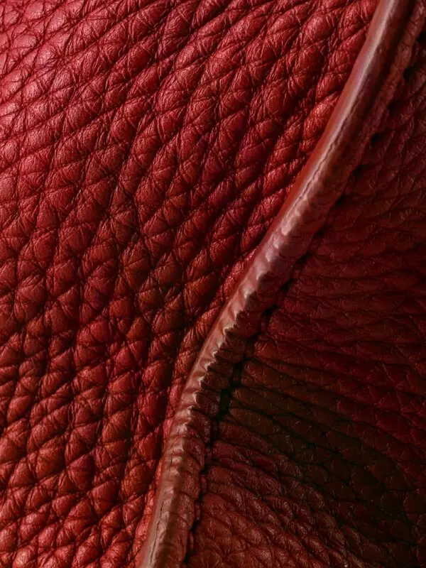 Celine Luggage Bag Grainy Leather Mini Tote - Red