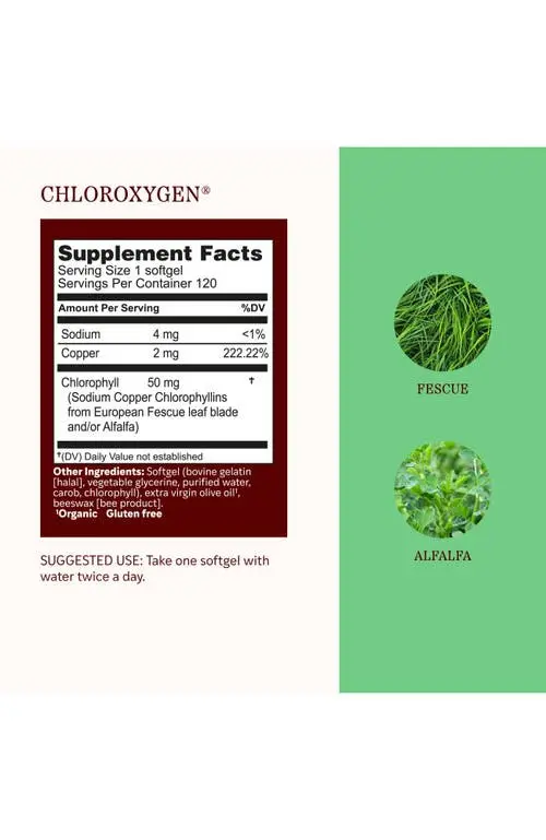 HERBS ETC. Chloroxygen Chlorophyll Concentrate Softgels, Blood & Energy Support