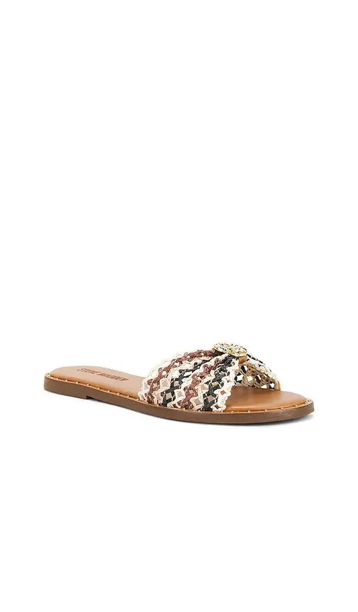 Steve Madden Dipsy Sandal In Brown