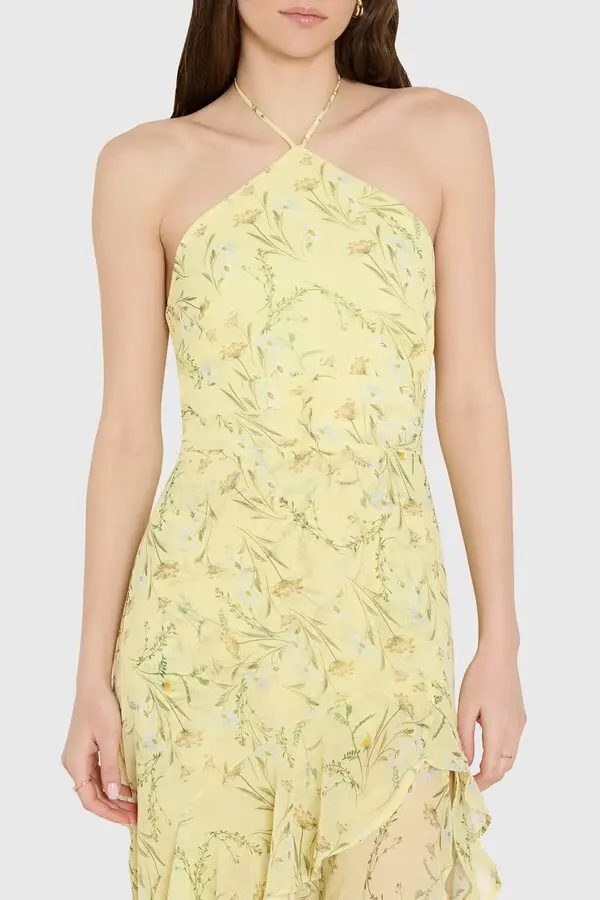 Amanda Uprichard Carlina Maxi Dress